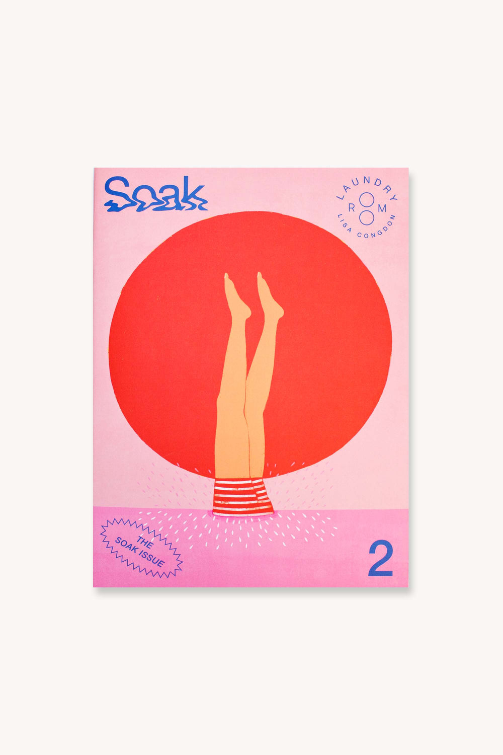 Laundry Room: Issue #2: The Soak Issue - December 2022 – Lisa Congdon ...